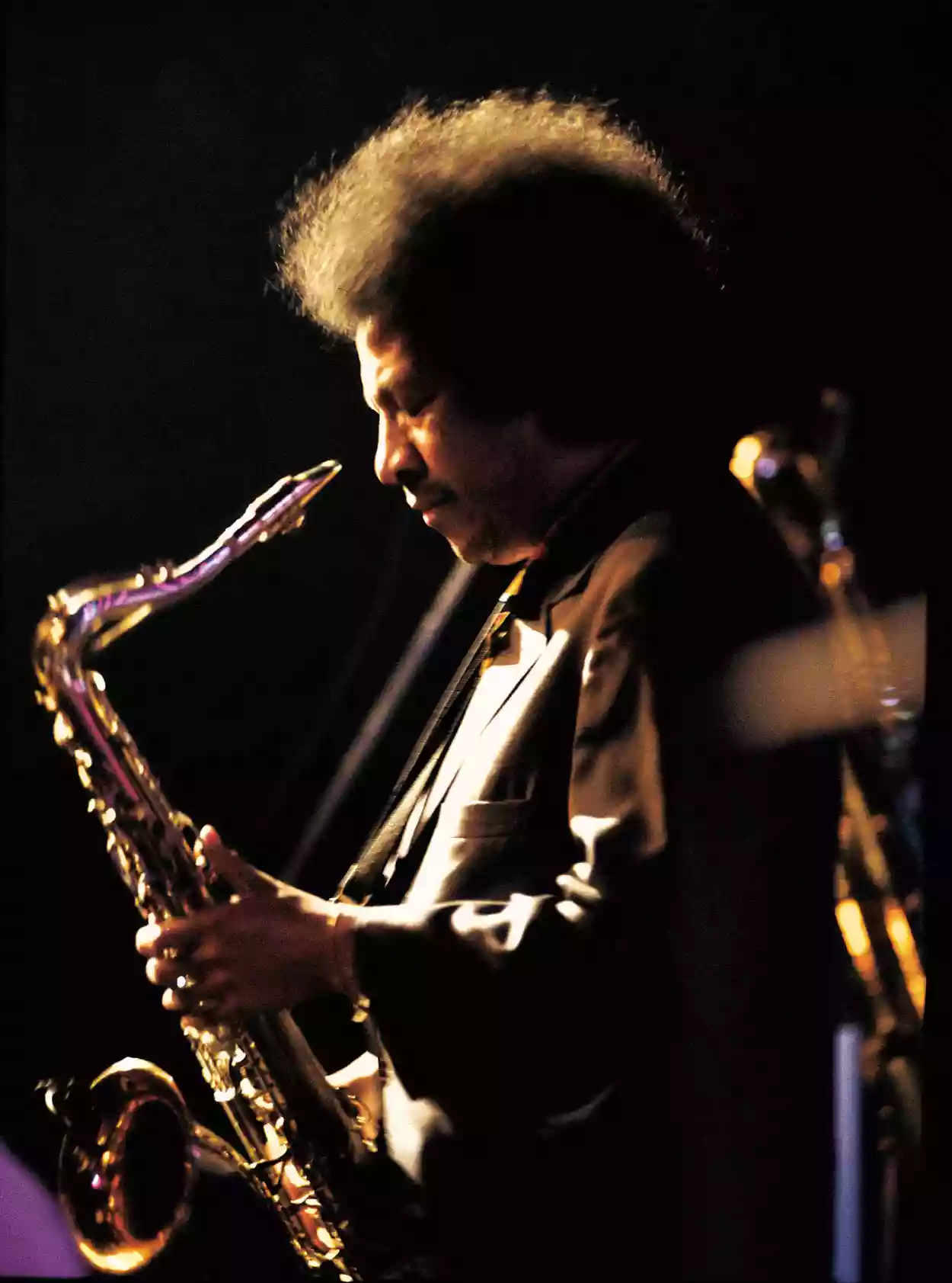 James Senese - Recensioni, discografia